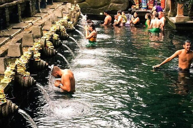 Full-Day Private and Guided Tour Around Ubud - Who Should Consider This Tour?