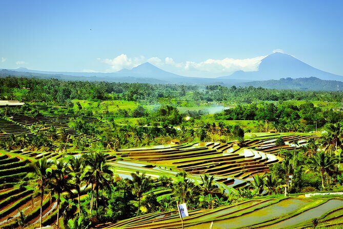 Full-Day Private Bali Car Charter with English Speaking Driver - Why a Private Car Tour Is a Smart Way to Explore Bali
