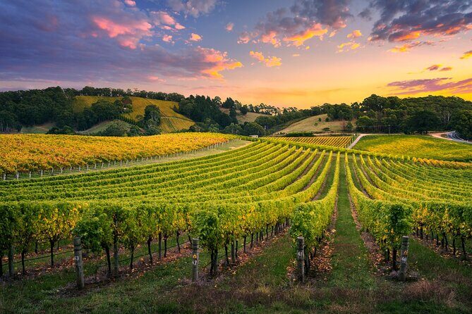 Full-Day Private Barossa Valley Wine Tour from Angaston - Key Points