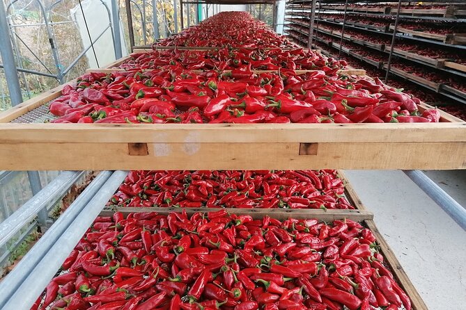 Full Day Private Basque French Countryside from San Sebastian - Final Thoughts: Is It Worth It?