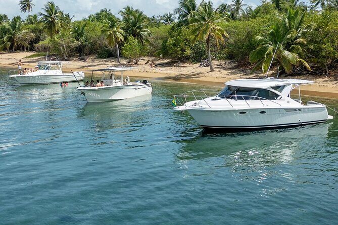 Full Day Private Boat Tour At Fajardo Local Keys - The Cost and Value