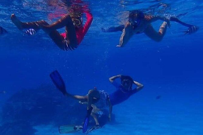 Full-Day Private Boat Tour of Bora Bora Lagoon with Snorkel - FAQ