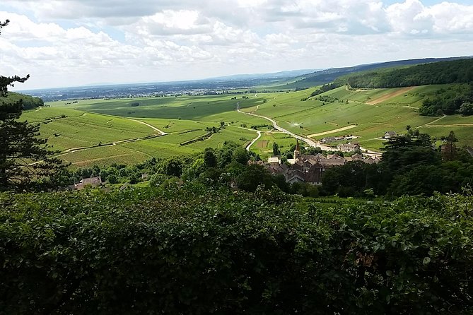Full-Day Private Burgundy Wine Route Tour From Beaune - Itinerary and Customization