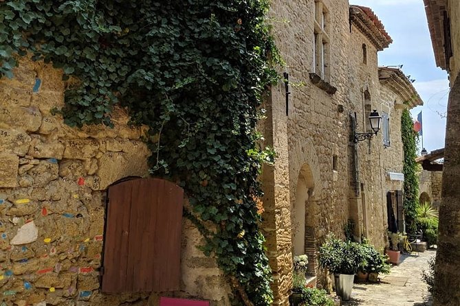 Full-Day Private Cannes Shore Excursion: Eze & Monaco - Scenic Attractions in Cannes, Èze, and Monaco