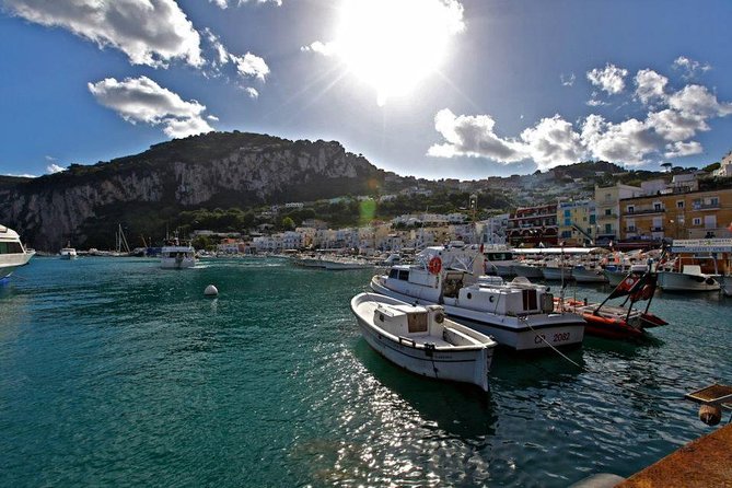 Full-Day Private Capri and Pompeii from Sorrento - Introduction: Is This Tour Right for You?