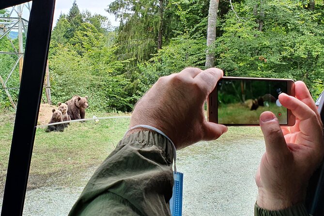 Full-Day Private Carpatian Garden with Dracula's Fortress - Wild Brown Bears - What the Reviews Say