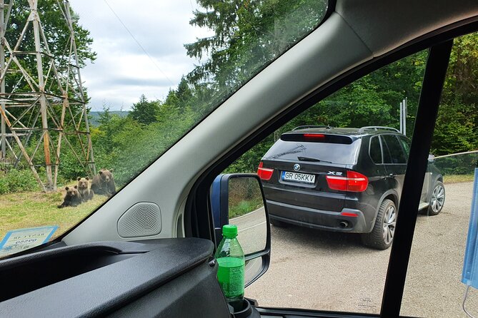 Full-Day Private Carpatian Garden with Dracula's Fortress - Wild Brown Bears - FAQ
