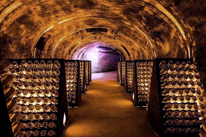 Full-Day Private Champagne Tasting in Reims and its Vineyards - Lunch in the Countryside