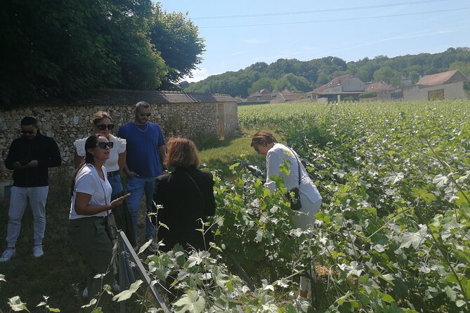 Full-Day Private Champagne Tasting in Reims and its Vineyards - Champagne House 2: Grand Cru and Vineyard Views