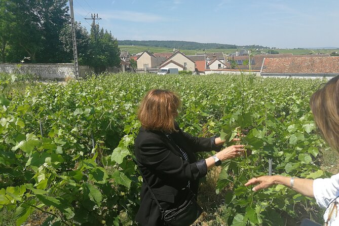 Full-Day Private Champagne Tasting in Reims and its Vineyards - Analyzing the Value and Experience