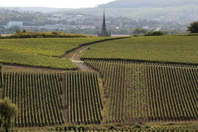 Full-Day Private Champagne Tasting in Reims and its Vineyards - Authenticity, Comfort, and Practicality