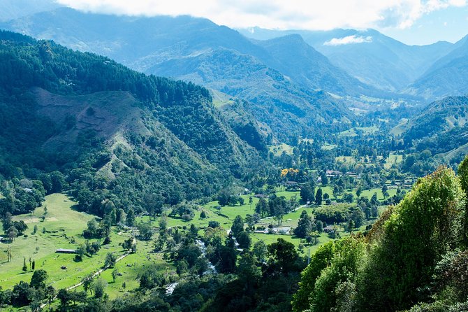 Full-Day Private Coffee Tour in Cocora Valley and Salento - Pickup Information
