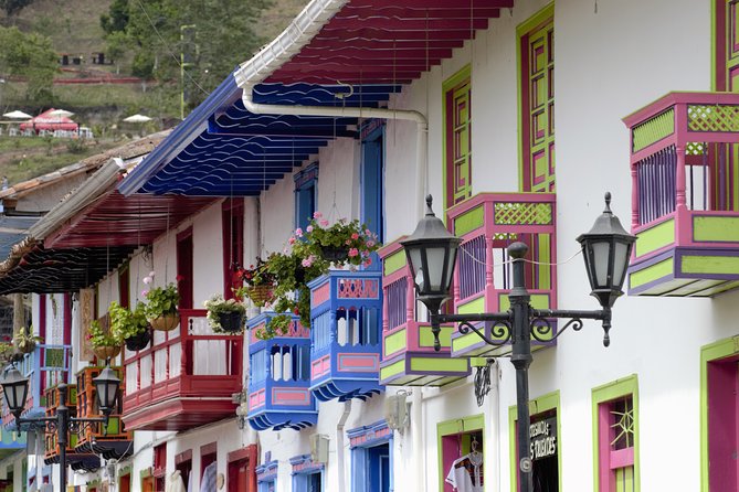 Full-Day Private Coffee Tour in Cocora Valley and Salento - The Cocora Valley Experience