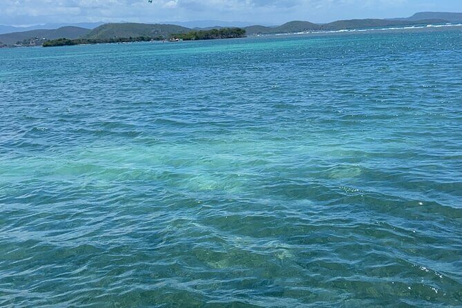 Full-Day Private Cruise in Cayo Caracoles - Key Points