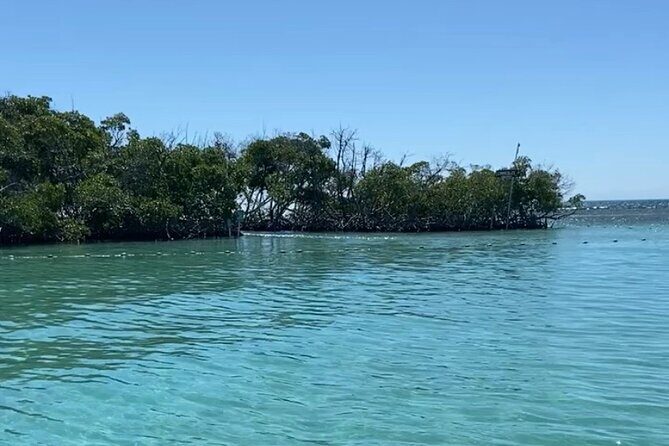 Full-Day Private Cruise in Cayo Caracoles - Who Should Consider This Tour?