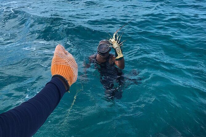 Full-Day Private Cruise in Turks and Caicos with Lunch - FAQ