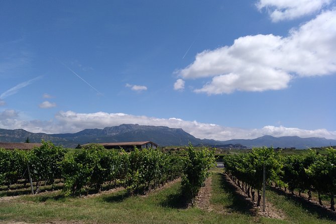 Full-Day Private Cultural Adventure in Rioja Review - Convenient Pickup and Logistics