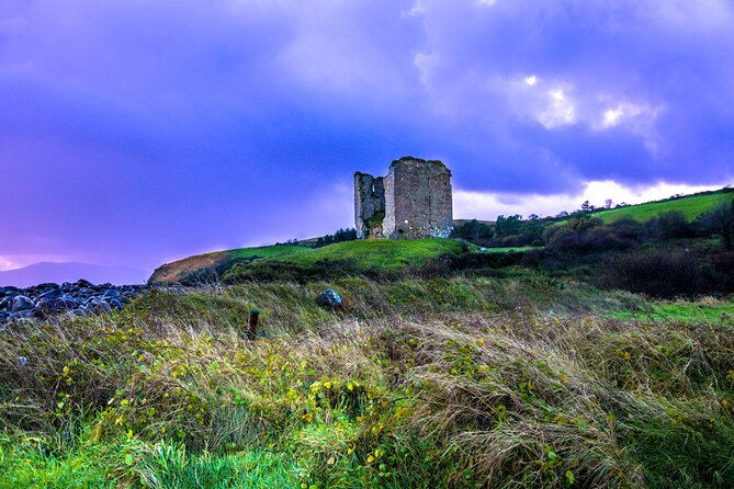 Full Day Private Cultural Tour in Dingle Peninsula - Encounter Baby Lambs at a Local Farm