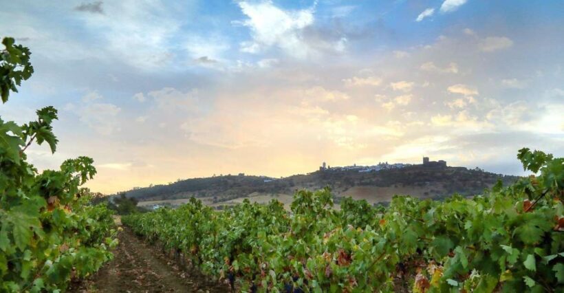 Full-Day Private Cultural Tour in Evora and Monsaraz - Exploring Portugal’s Heritage in Évora and Monsaraz