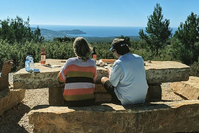 Full-Day Private Custom-Made Cannes Shore Excursion - Visiting Monaco and Monte Carlo