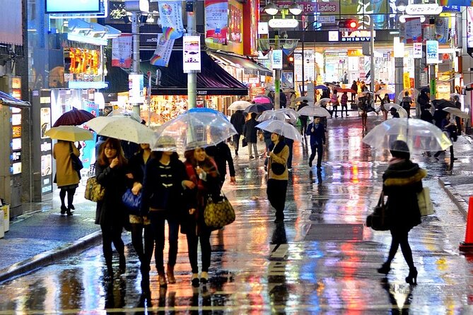 Full Day Private Day Trip in Tokyo City - Customer Feedback and Reviews