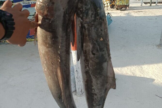 Full Day Private Deep Sea Fishing in Holbox - The Sum Up: Is It Worth It?