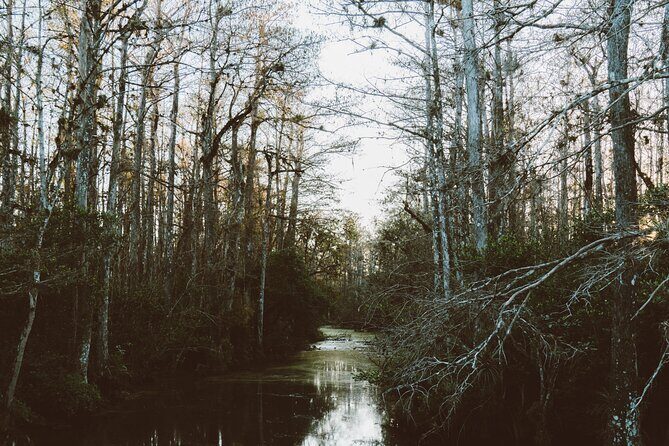 Full-Day Private Everglades and Miami City Tour - Who Is This Tour Best For?