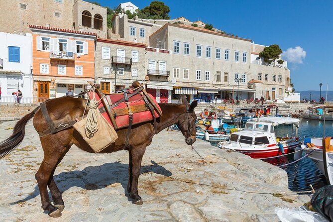 "Full-Day Private Excursion to Hydra Island from Athens" - Value and Practicality