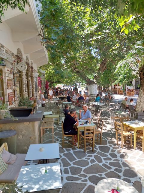 Full-Day Private food tour in Naxos local Villages - Exploring Naxos Through Its Villages: A Food Lover’s Private Tour Review