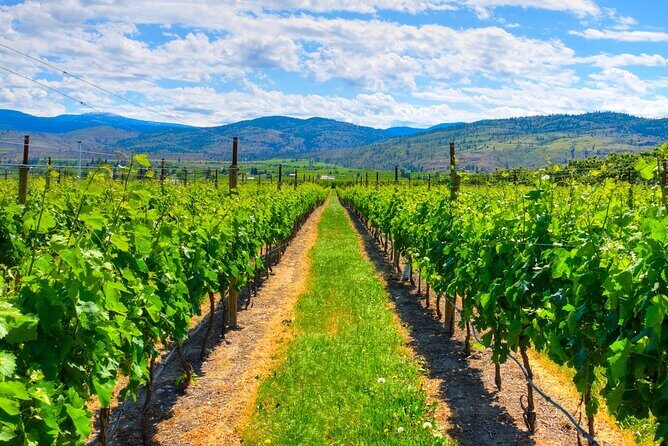 Full-Day Private Fraser Valley Wine Tour from Vancouver - Exploring the Itinerary in Detail