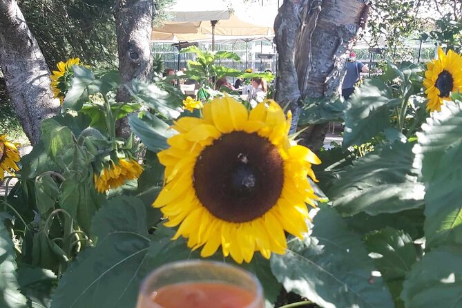 Full Day Private Golden Circle and Hot Springs Tour in Hvammsvík - FAQ