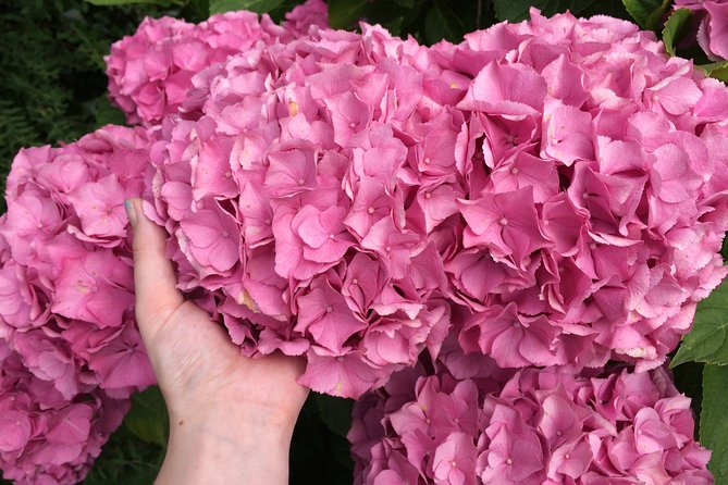 Full-Day Private Guided Countryside Tour from Amsterdam by Bike - What Makes This Tour Worth It?