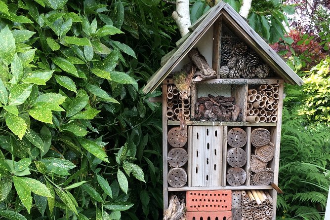 Full-Day Private Guided Countryside Tour from Amsterdam by Bike - Practical Details