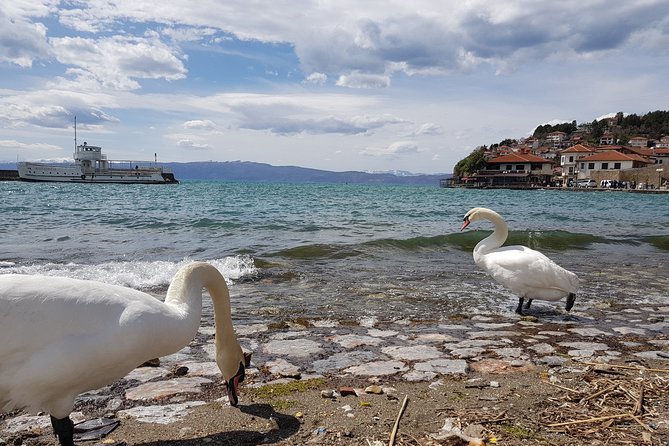 Full-Day Private Guided Cultural Tour of Ohrid from Skopje - Practical Details & Tips