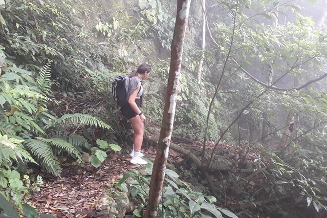 Full-Day Private Guided Hiking Tour of Ba Vi National Park - Key Points