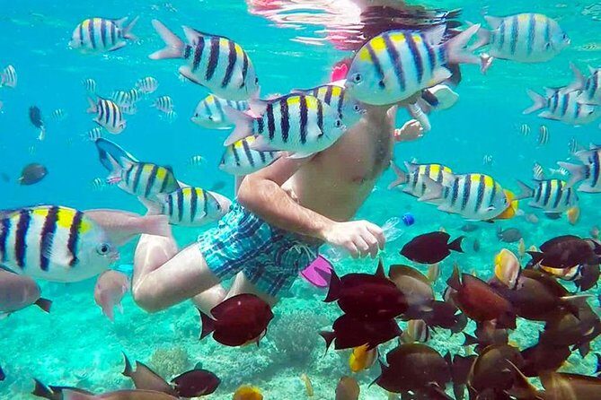 Full-Day Private Guided Lombok Snorkeling 3 Gili Islands - What’s Included and What’s Not