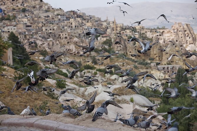 Full-Day Private Guided RED Tour of Cappadocia - Devrent Valley