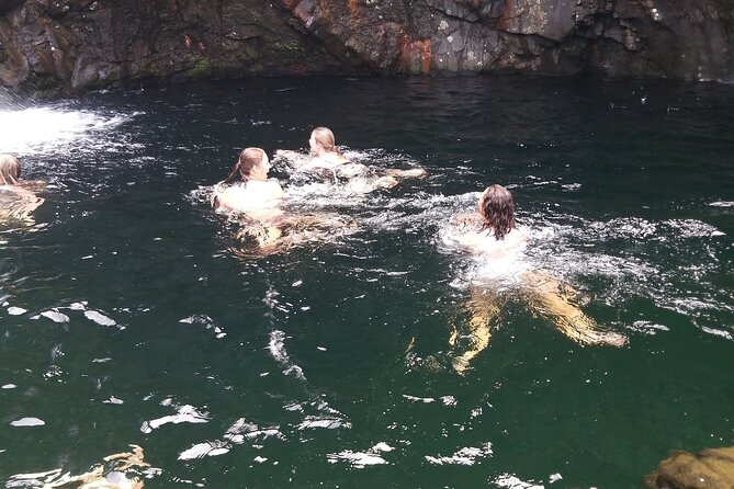 Full-Day Private Guided Shennachies Road to Isles and Skye Tour - Memorable Wildlife Encounters