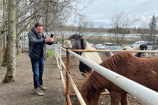 Full Day Private Guided Tour in Golden Circle of Iceland - Friðheimar Greenhouse: A Green Twist in the Tour