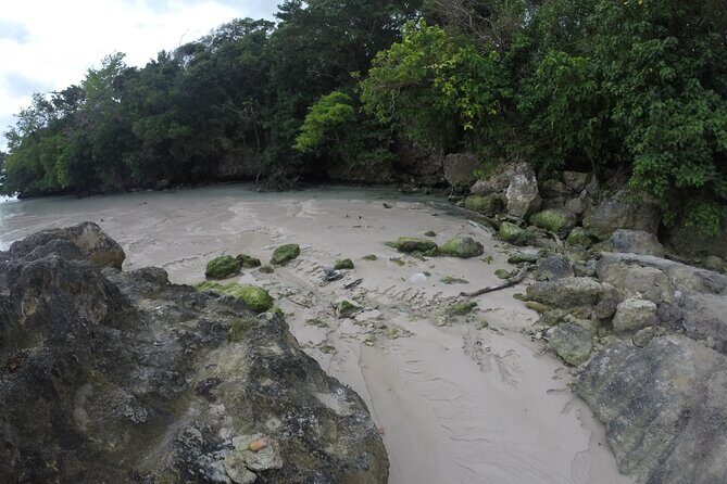 Full Day Private Guided Tour in Lagoon Dudu from Santo Domingo - Authentic Experiences and What Travelers Say