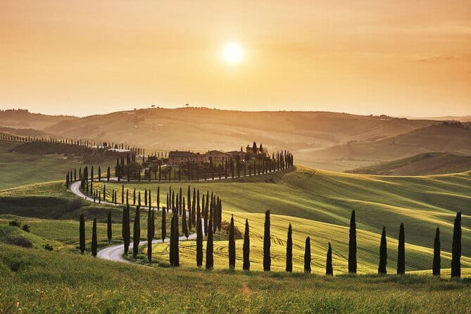 Full Day PRIVATE Guided Tour in Val D'Orcia Region - Transportation and Overall Value