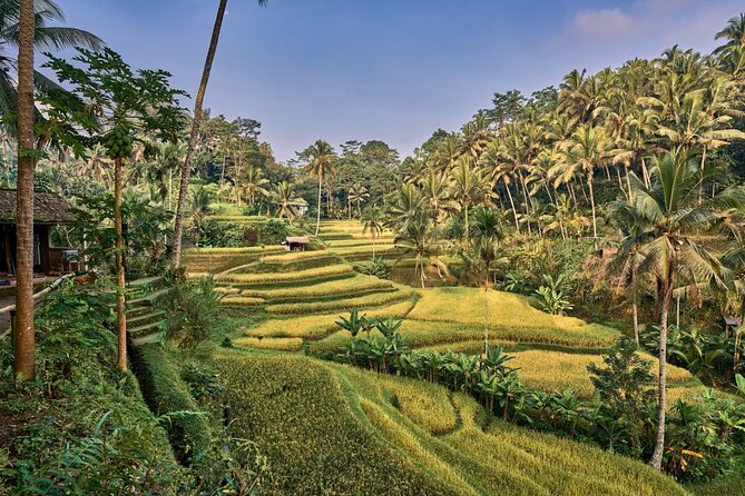 Full Day Private Guided Tour to Bali - Authentic Experiences and Practical Insights