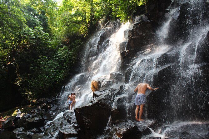 Full-Day Private Guided Tour to Bali Waterfalls - FAQ