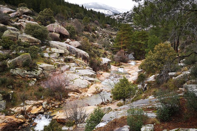Full-Day Private Guided Tour to Guadarrama National Park - A Closer Look at the Guadarrama Adventure