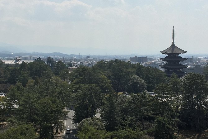 Full-Day Private Guided Tour to Nara Temples - Key Highlights of the Tour