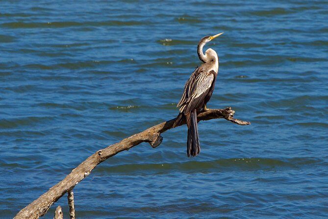 Full Day Private Kandy/ Sigiriya sightseeing Tour - FAQ