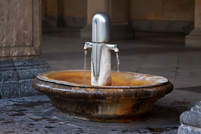 Full-Day Private Karlovy Vary Tour from Prague - What Travelers Say