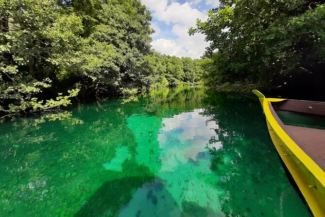 Full-Day Private Lake Ohrid and Albania Tour From Ohrid - Inclusions and What to Expect