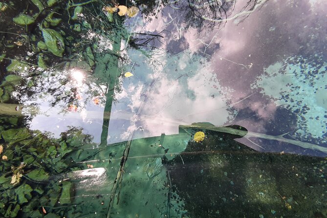 Full-Day Private Lake Ohrid and Albania Tour From Ohrid - Traveler Reviews and Recommendations