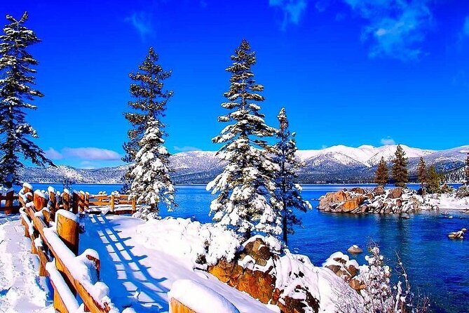 Full Day Private Lake Tahoe Tour from Oakland - Key Points